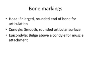 Bone structure | PPTX