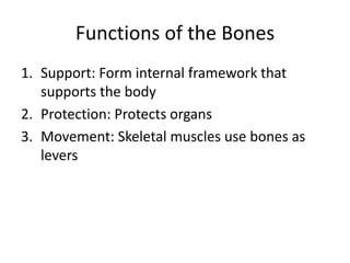 Bone structure | PPTX