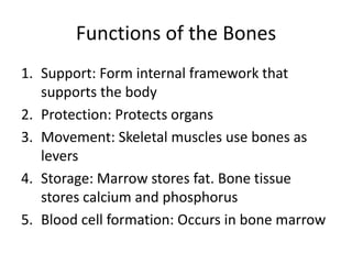 Bone structure | PPTX