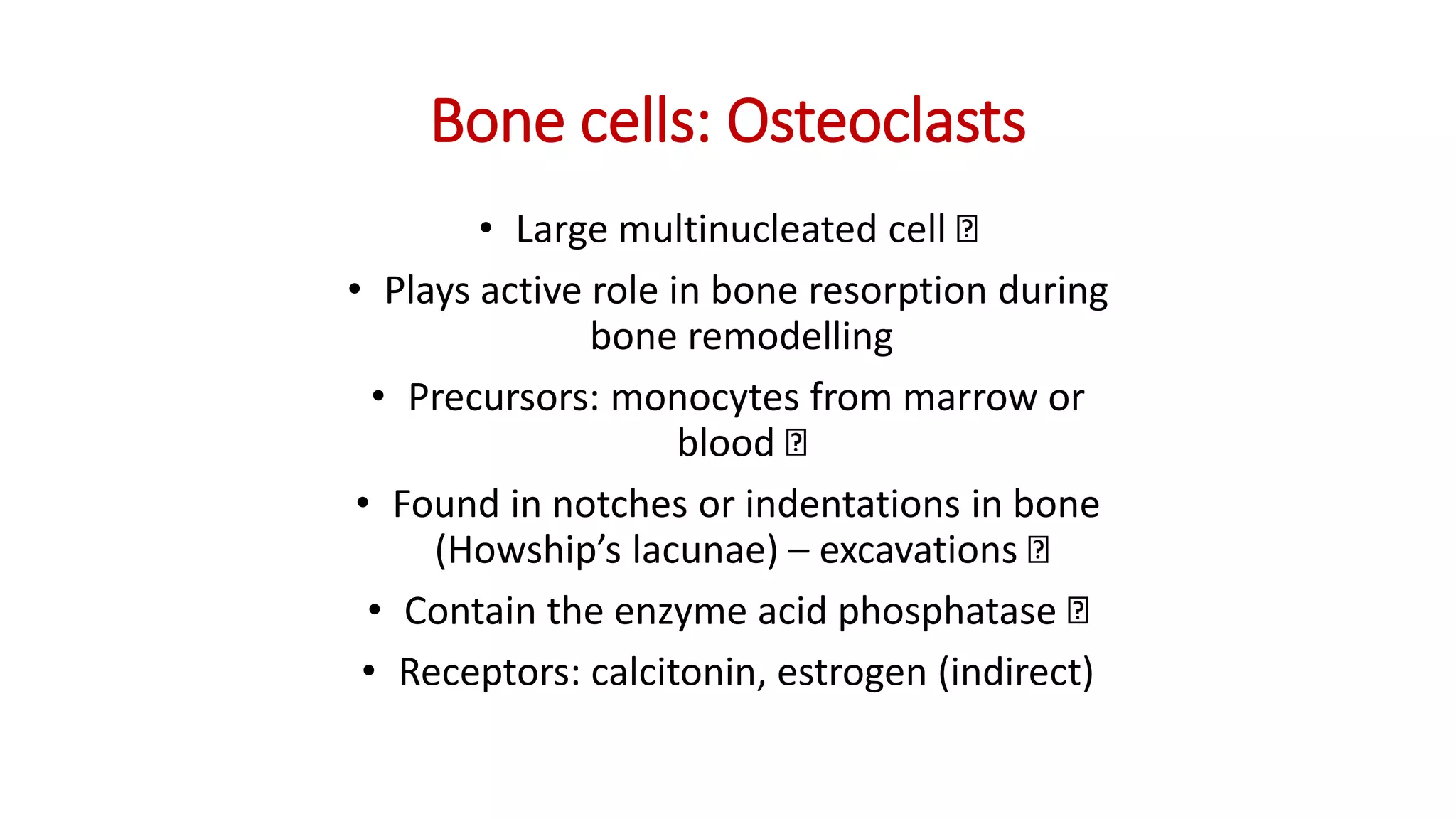 Bone Structure and Composition.pptx