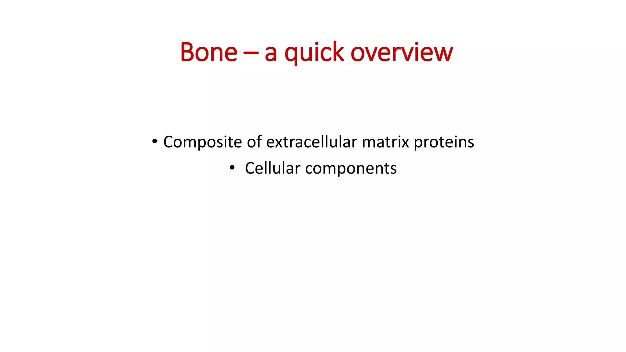 Bone Structure and Composition.pptx