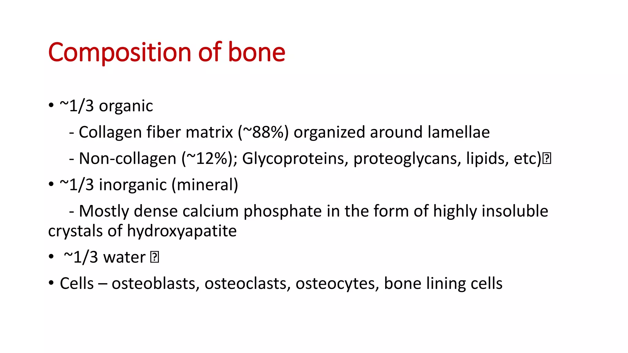 Bone Structure and Composition.pptx
