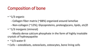 Bone Structure and Composition.pptx