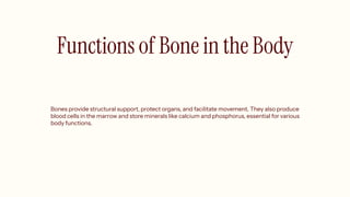 Bone Structure and Function.pdf about sone | PDF