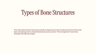 Bone Structure and Function.pdf about sone | PDF