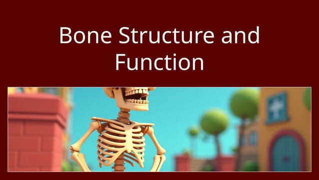 Bone Structure and Function of a human body (1).pptx