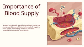 Bone Structure and Function of a human body (1).pptx