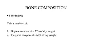 Comprehensive Overview of Bone Structure, Physiology, and Development ...