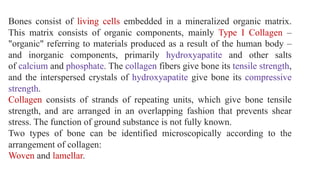 Bone structure and type | PPT