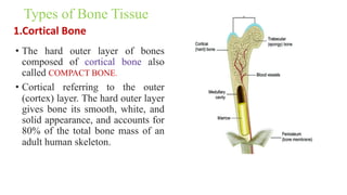 Bone structure and type | PPT