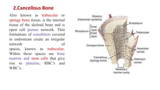 Bone structure and type | PDF