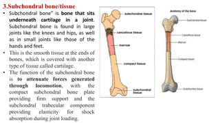 Bone structure and type | PPT