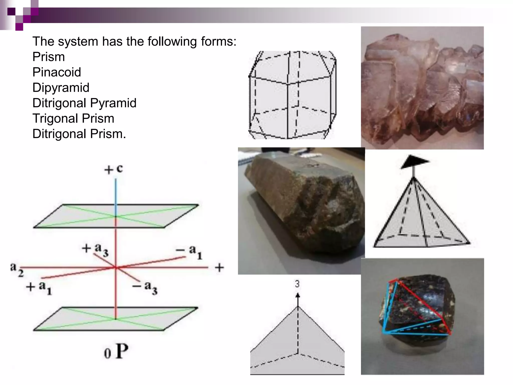 Chemical Composition of Teeth | PPTX