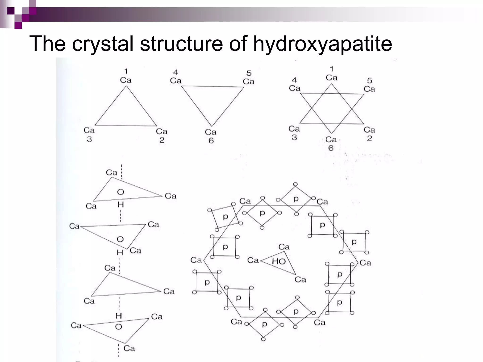 Chemical Composition of Teeth | PPTX
