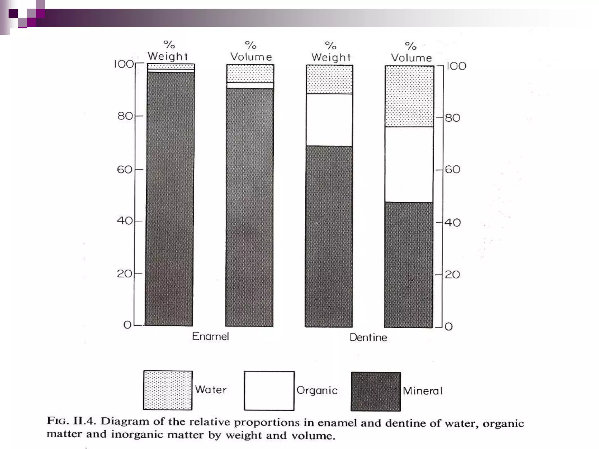 Chemical Composition of Teeth | PPTX