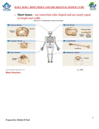 Bone tissue and the skeletal system _RDP | PDF