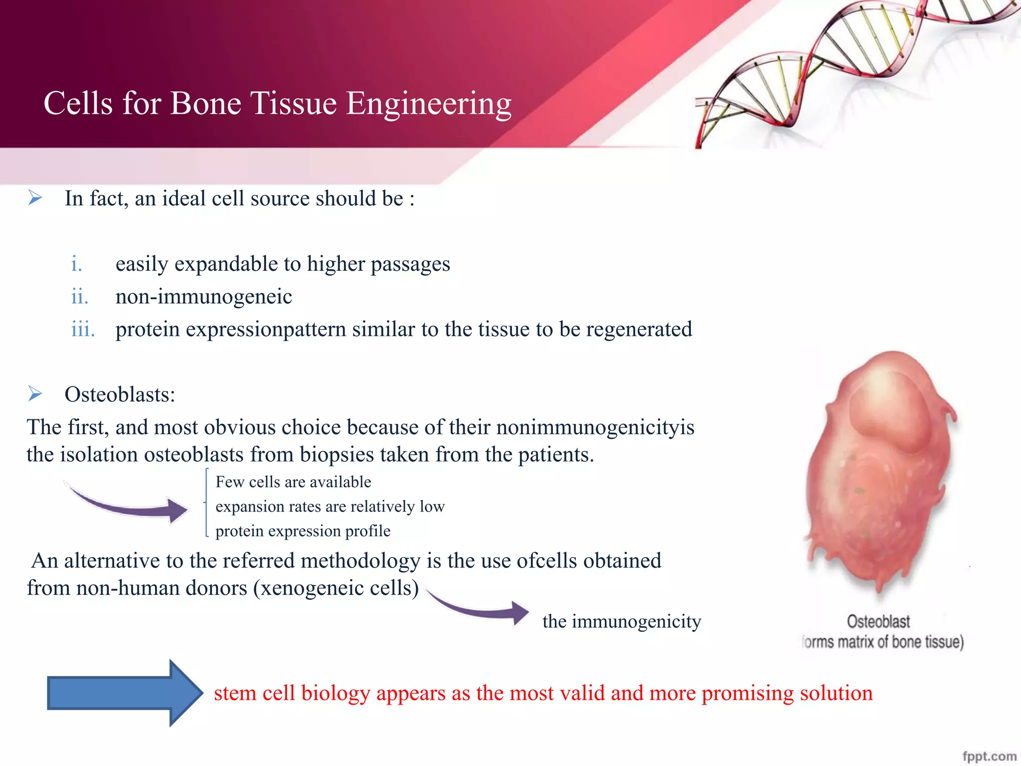 Bone tissue engineering | PDF
