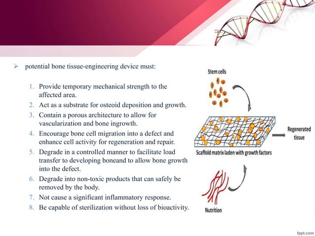 Bone tissue engineering | PDF | Bone and Joint Conditions | Diseases ...