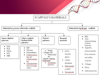 Bone tissue engineering | PDF