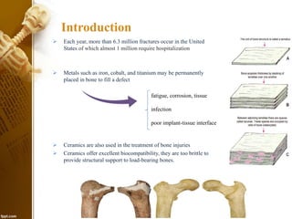Bone tissue engineering | PDF