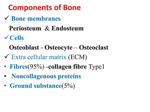 Bone tissue ppt.pptx