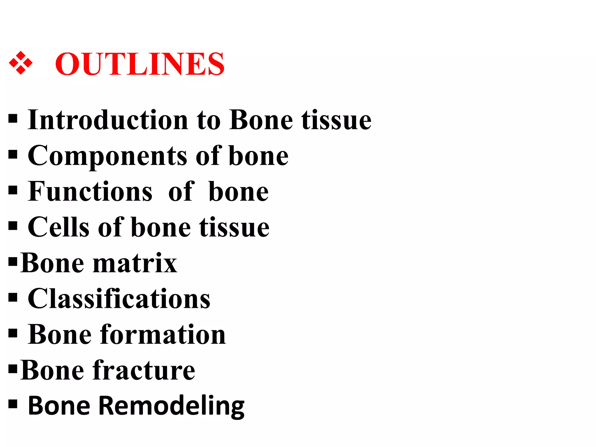 Bone tissue ppt.pptx