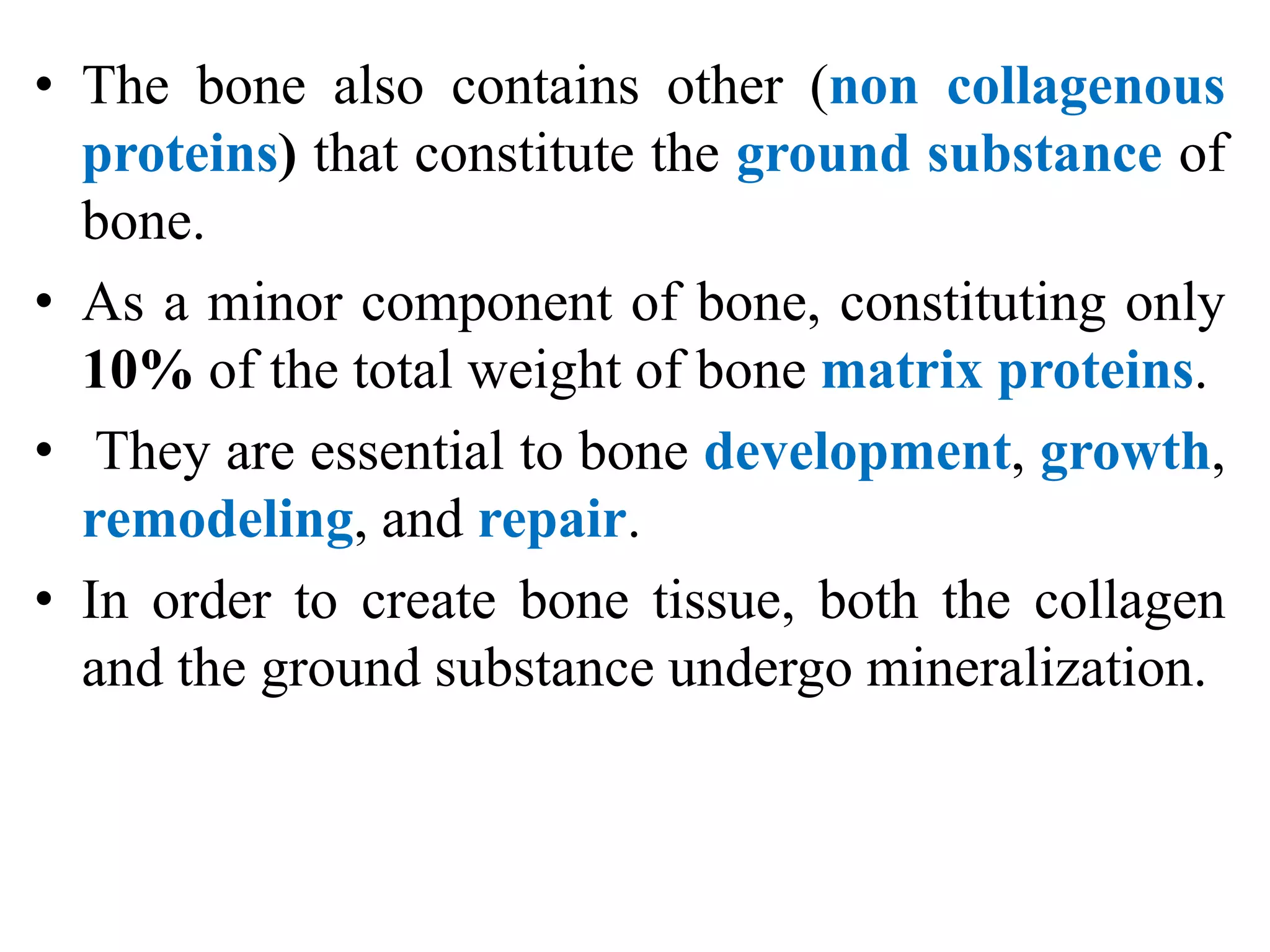 Bone tissue ppt.pptx