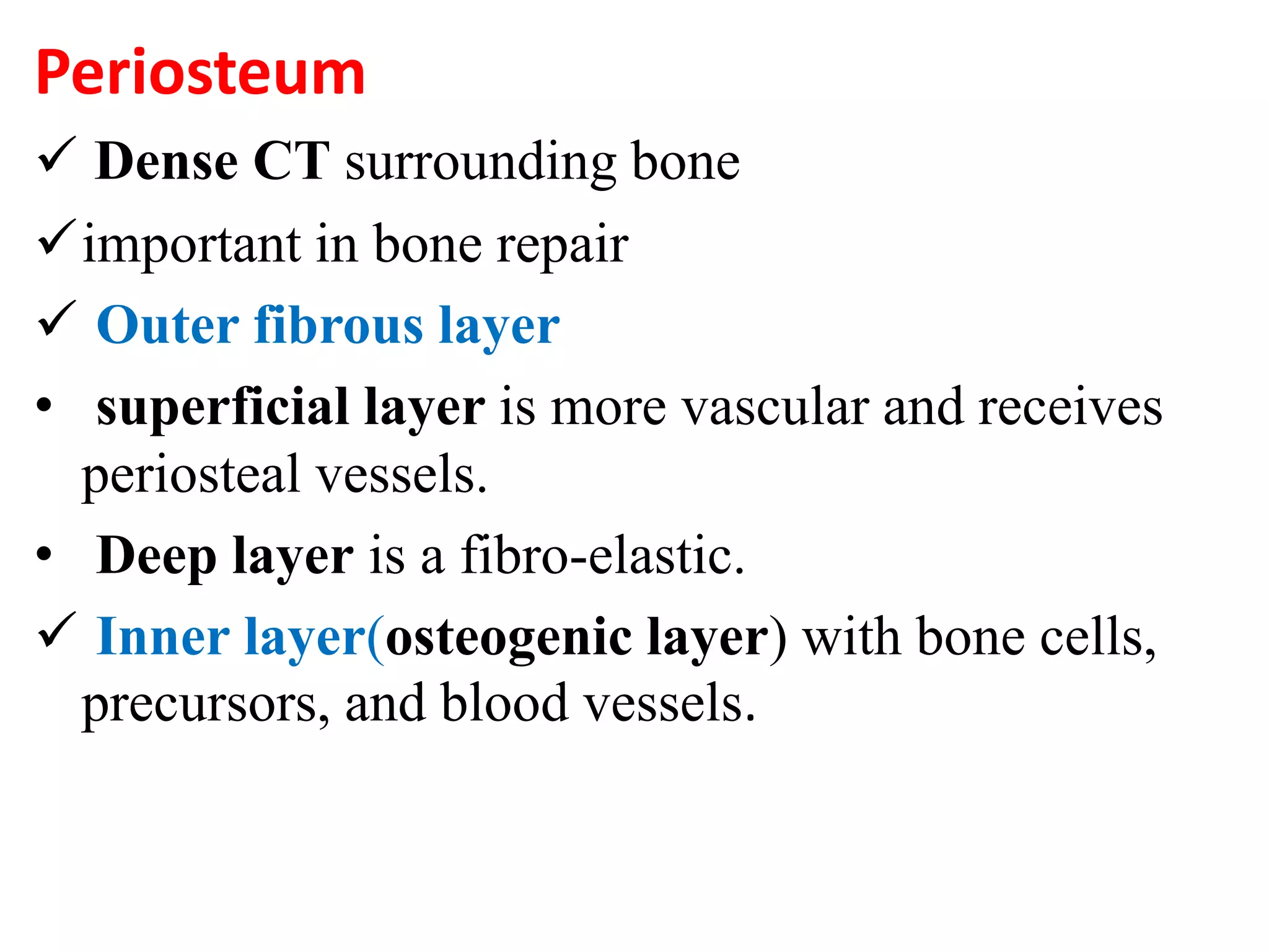 Bone tissue ppt.pptx
