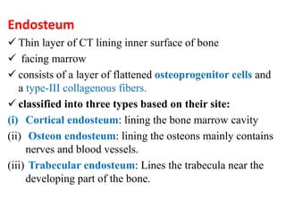 Bone tissue ppt.pptx