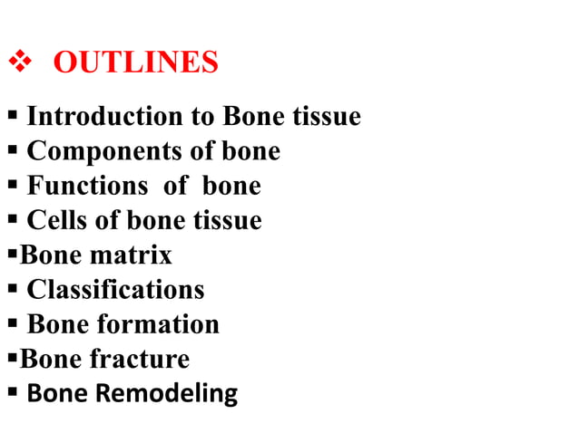 Bone tissue ppt.pptx