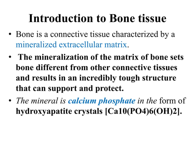 Bone tissue ppt.pptx