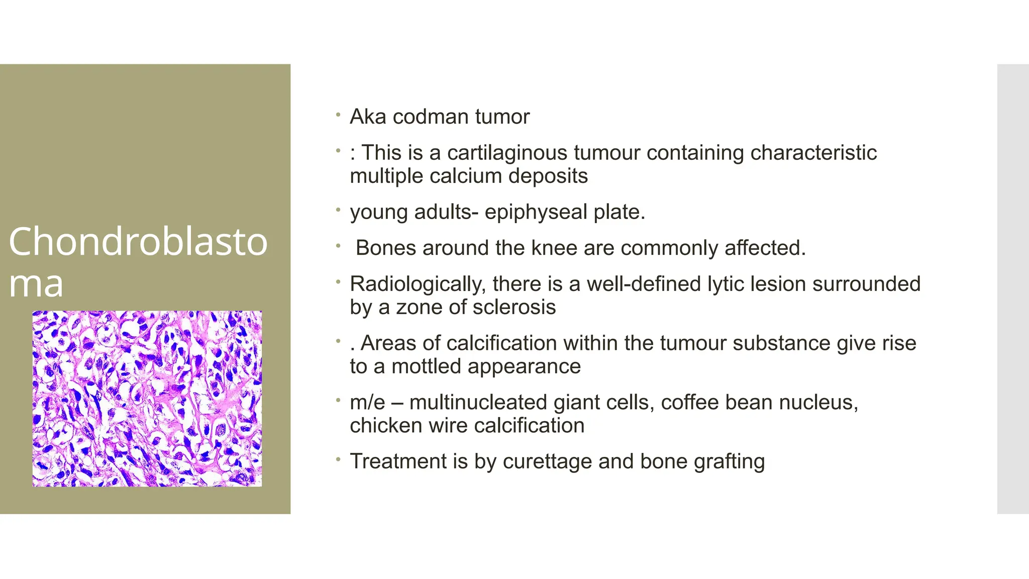 BONE TUMORS introductions classifications | PPTX