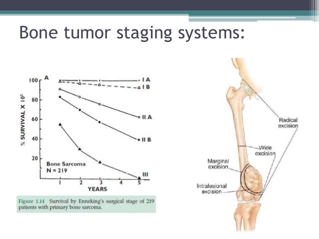 Bone tumor staging systems
