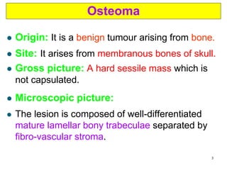 Bone tumours_Dr.Manal Ismail Abd-Elghany_2020.pptx
