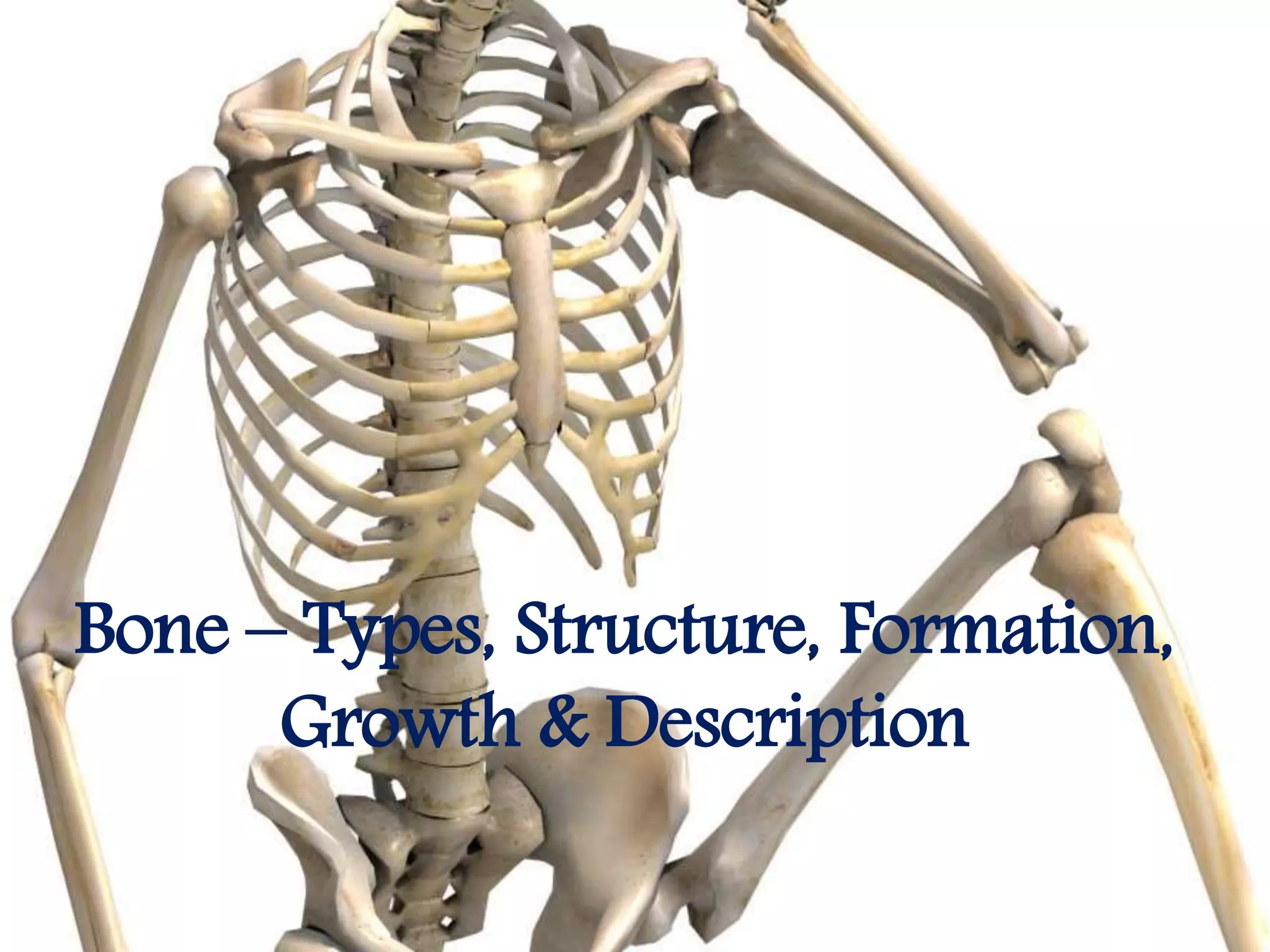 Bone types, Structure, Formation, Growth & Description | PPTX