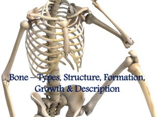 Bone types, Structure, Formation, Growth & Description | PPTX
