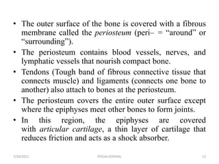 Bone types, Structure, Formation, Growth & Description | PPTX