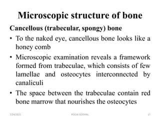 Bone types, Structure, Formation, Growth & Description | PPTX