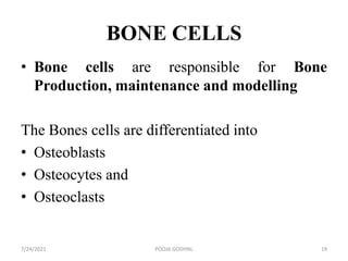 Bone types, Structure, Formation, Growth & Description | PPTX