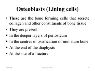 Bone types, Structure, Formation, Growth & Description | PPTX