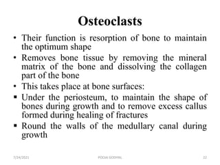 Bone types, Structure, Formation, Growth & Description | PPTX