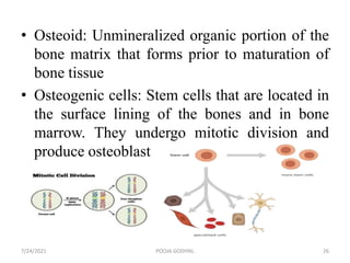 Bone types, Structure, Formation, Growth & Description | PPTX
