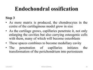 Bone types, Structure, Formation, Growth & Description | PPTX