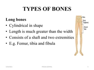 Bone types, Structure, Formation, Growth & Description | PPTX