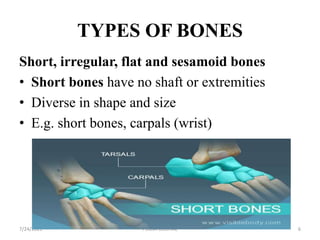 Bone types, Structure, Formation, Growth & Description | PPTX