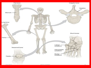 Bone types, Structure, Formation, Growth & Description | PPTX