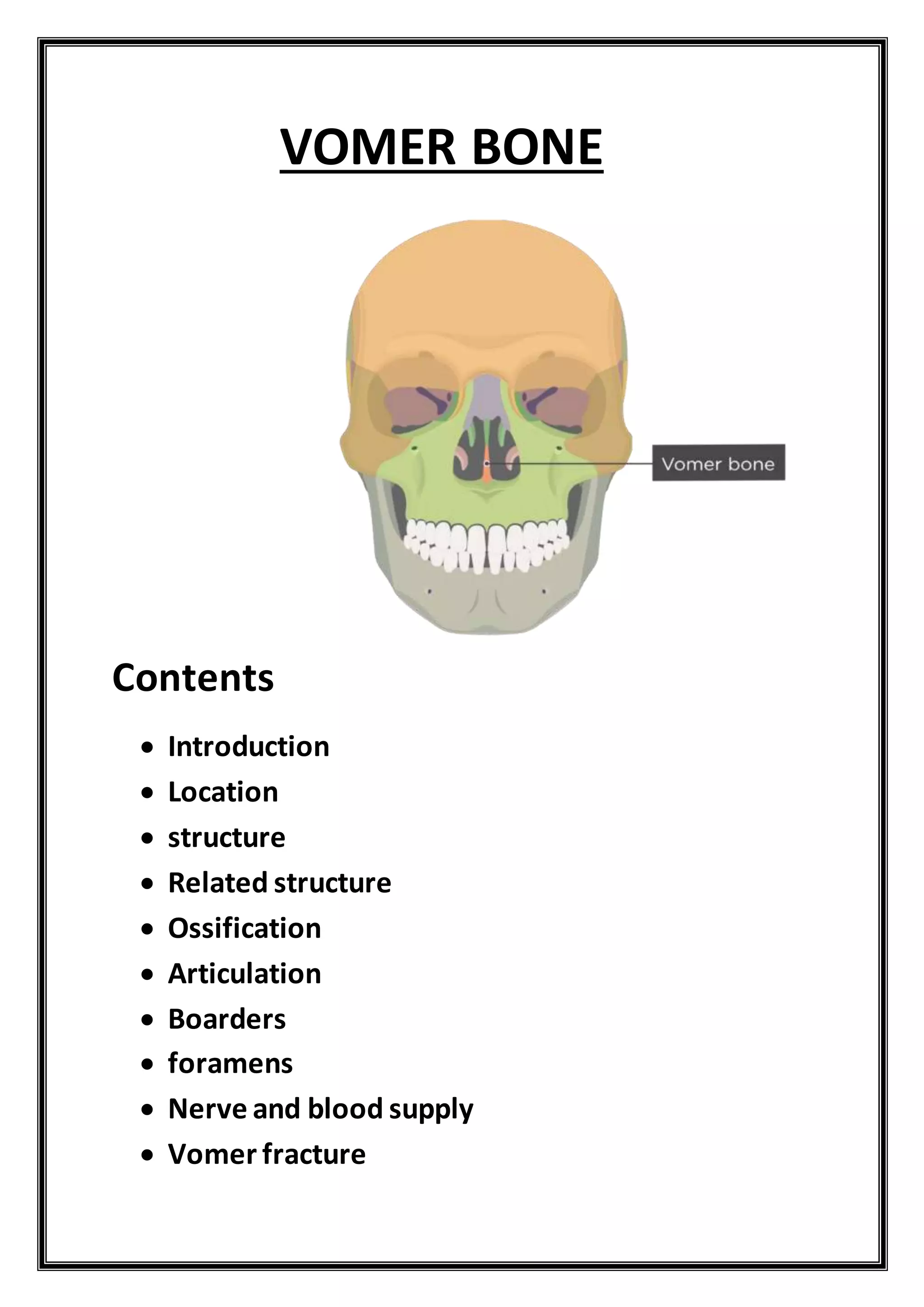 ANATOMY OF VOMER BONE | PDF