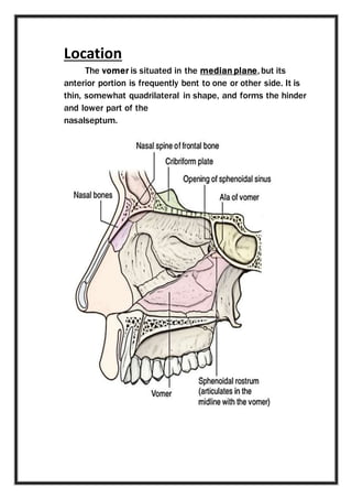 ANATOMY OF VOMER BONE | DOCX
