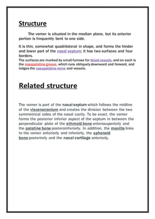 ANATOMY OF VOMER BONE | DOCX
