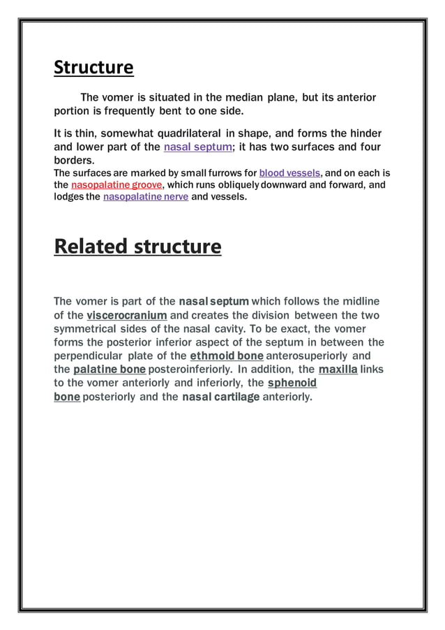 ANATOMY OF VOMER BONE | DOCX | Ear, Nose and Throat Conditions ...